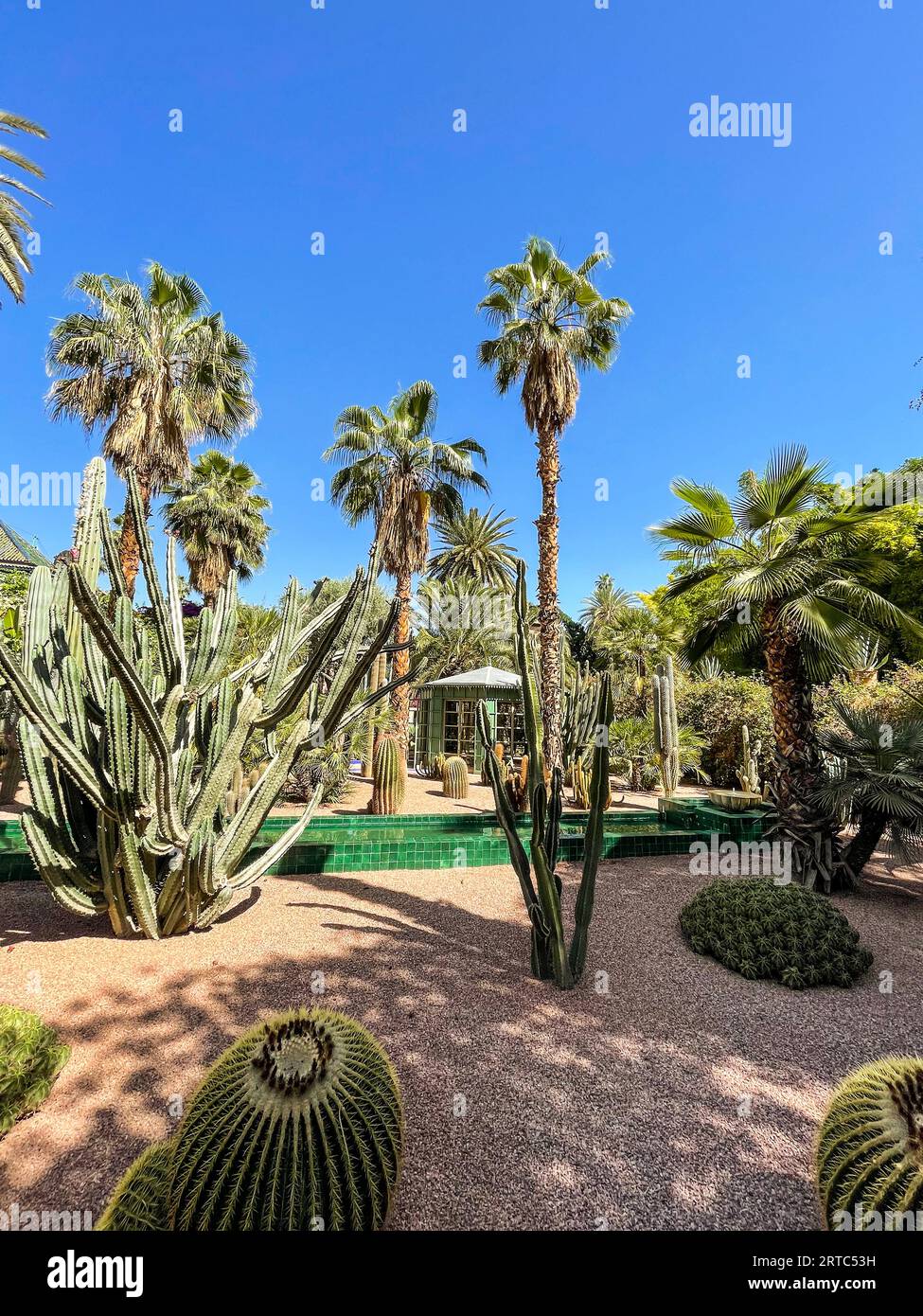 Morocco, Marrakech, Majorelle gardens Stock Photo - Alamy