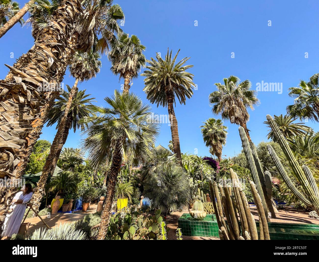 Morocco, Marrakech, Majorelle gardens Stock Photo - Alamy