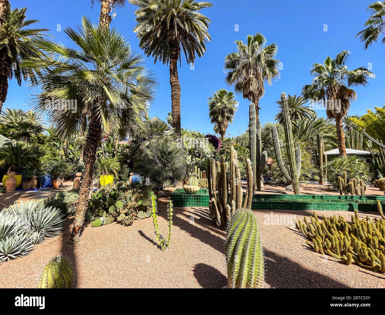 Morocco, Marrakech, Majorelle gardens Stock Photo - Alamy