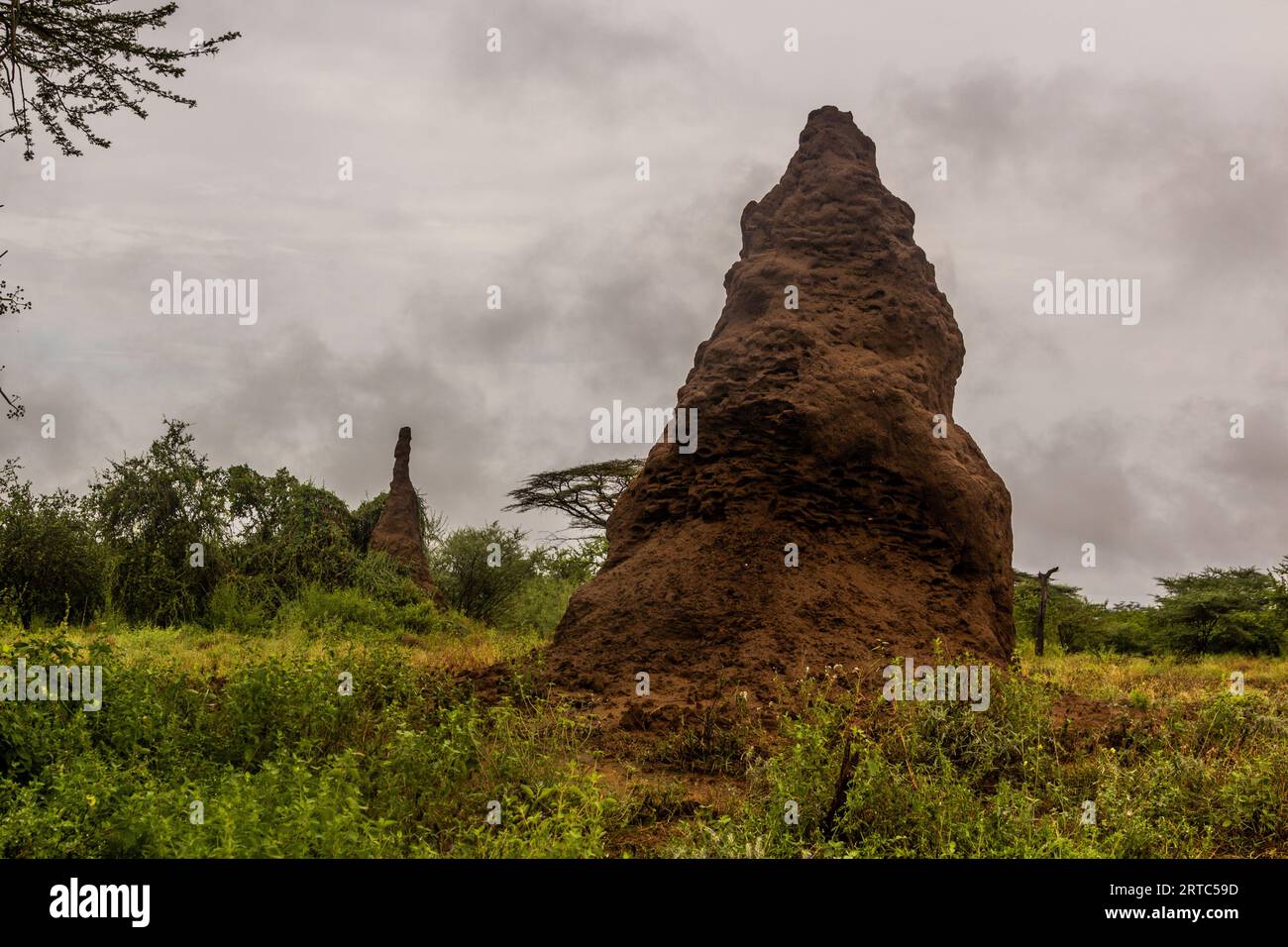 Termite mounds in africa hi-res stock photography and images - Alamy