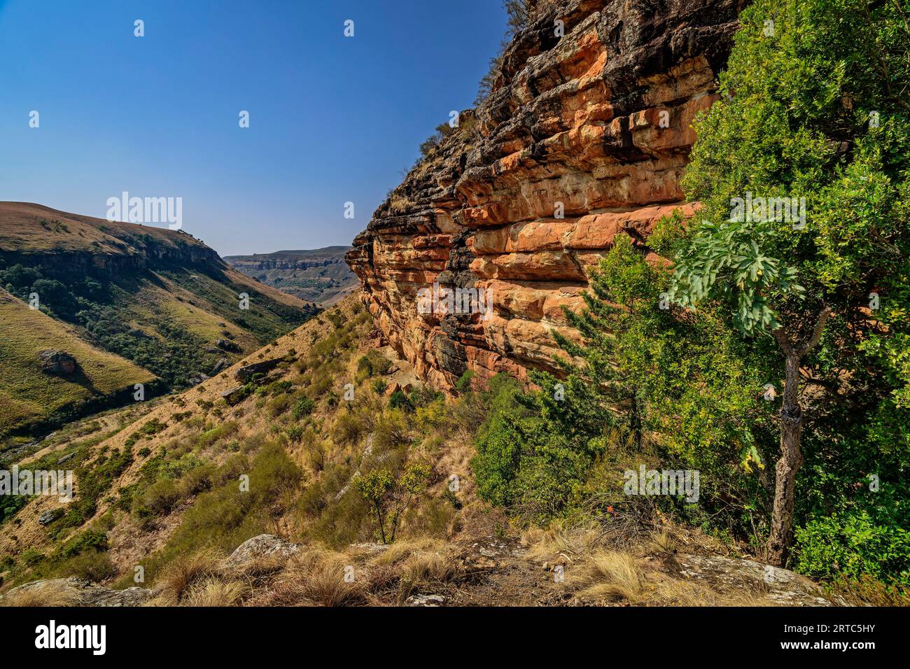 Rock face on Giant's Ridge with a view of the valley, Giant's Castle ...