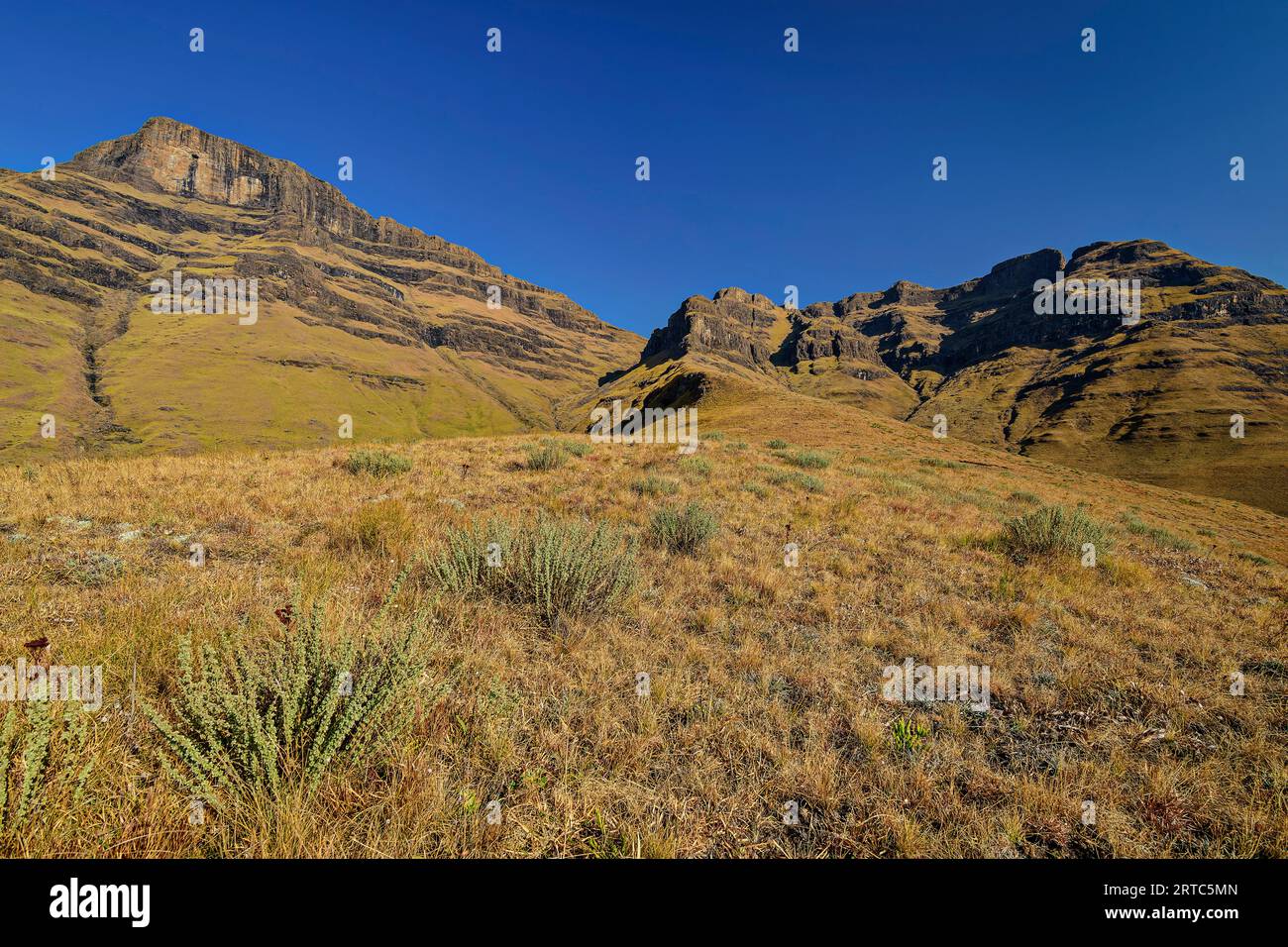 View of Drakensberg from the climb to Langalibalele Pass, Langalibalele ...