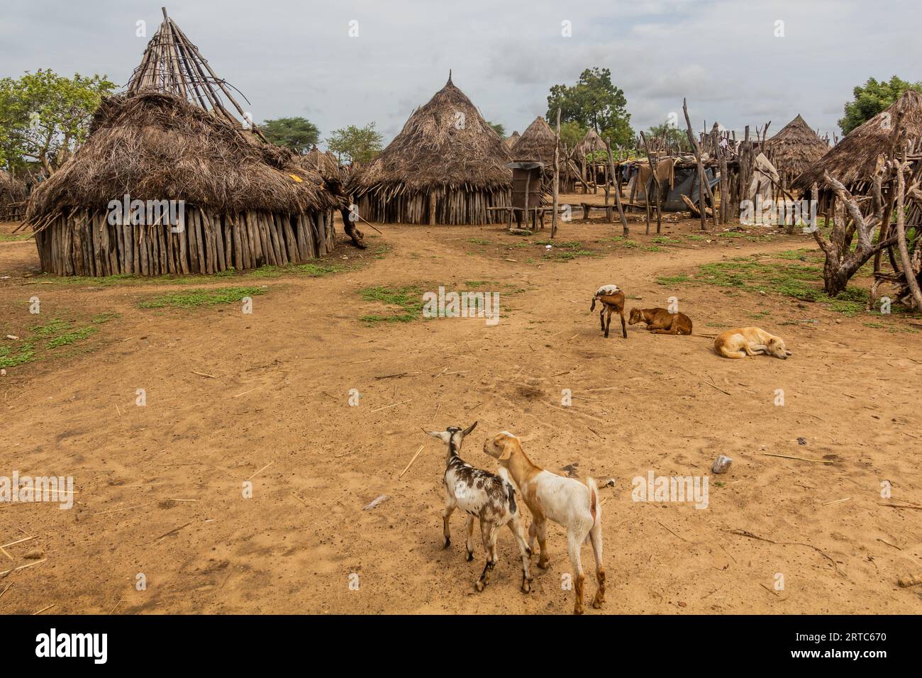 Huts of Korcho village inhabited by Karo tribe, Ethiopia Stock Photo ...