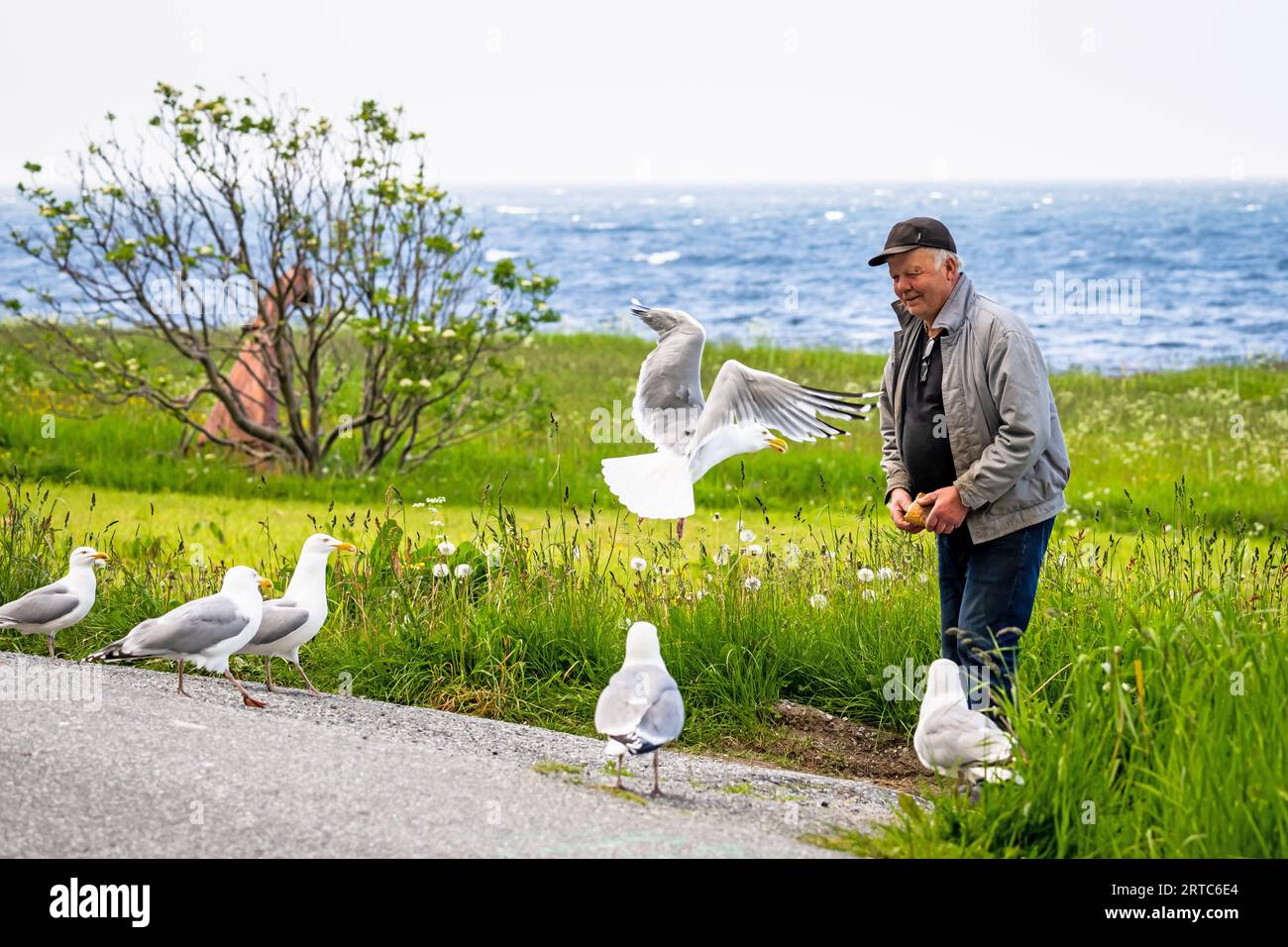 Norway bird man hi-res stock photography and images - Alamy