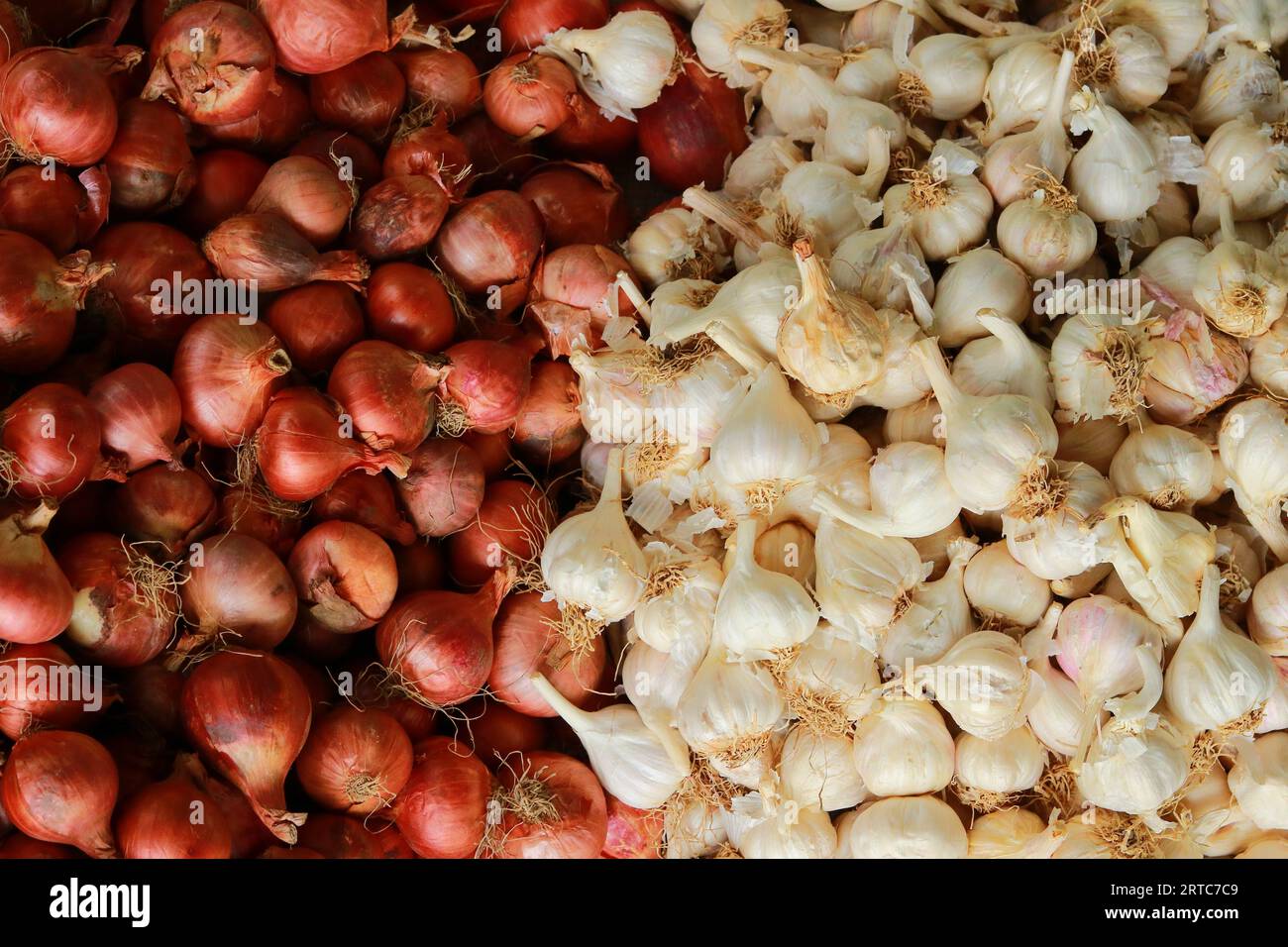 Onion display hi-res stock photography and images - Alamy
