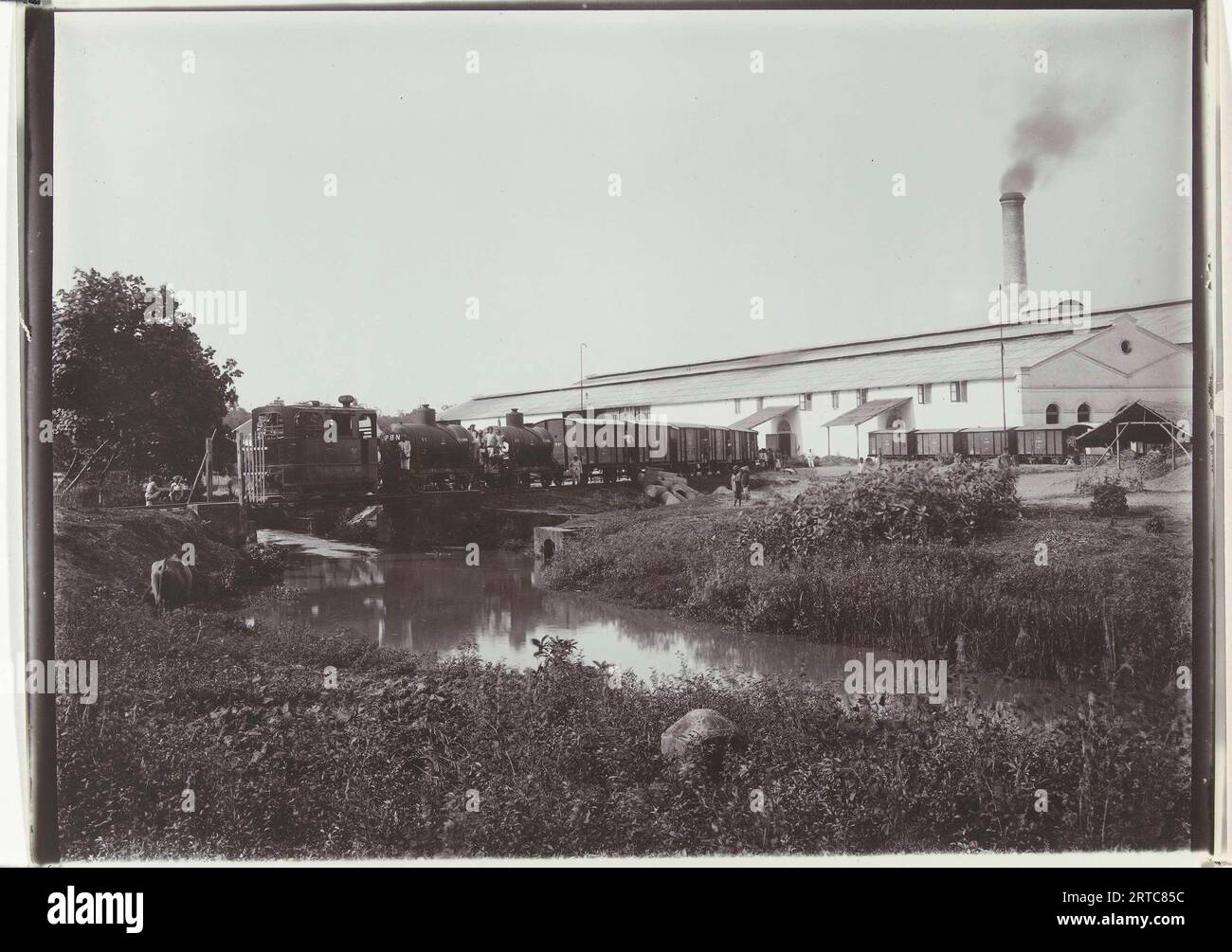 Sugar Company Factory, Vintage Archive Photo, 1900, Bali, Java ...