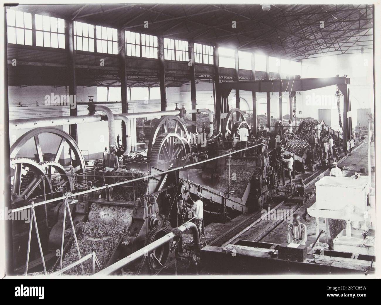Sugar Company Factory, Vintage Archive Photo, 1900, Bali, Java ...