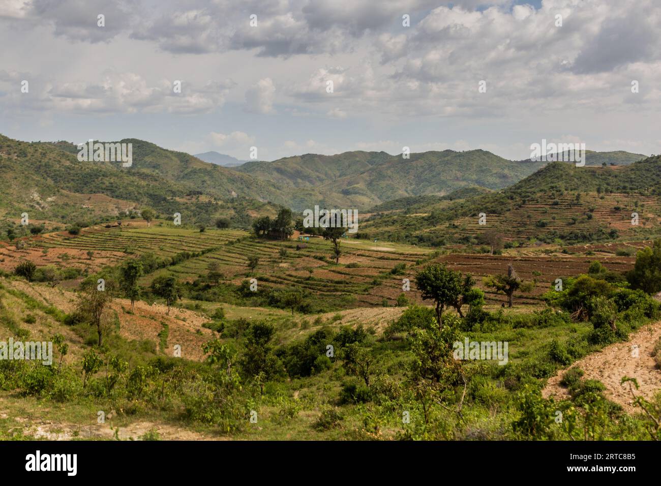 Terraced fields of Konso landscape, Ethiopia Stock Photo - Alamy