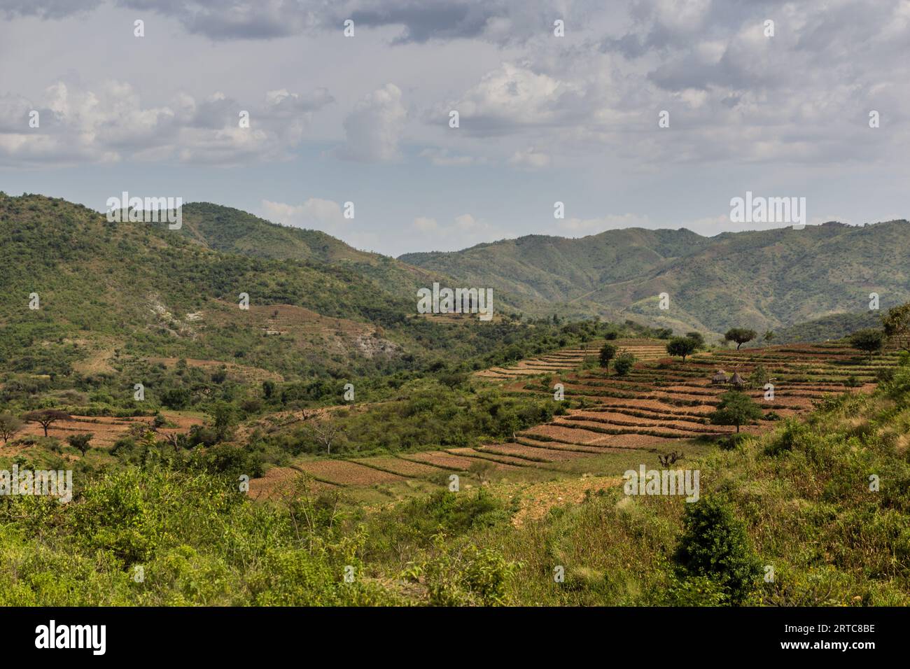 Terraced fields of Konso landscape, Ethiopia Stock Photo - Alamy