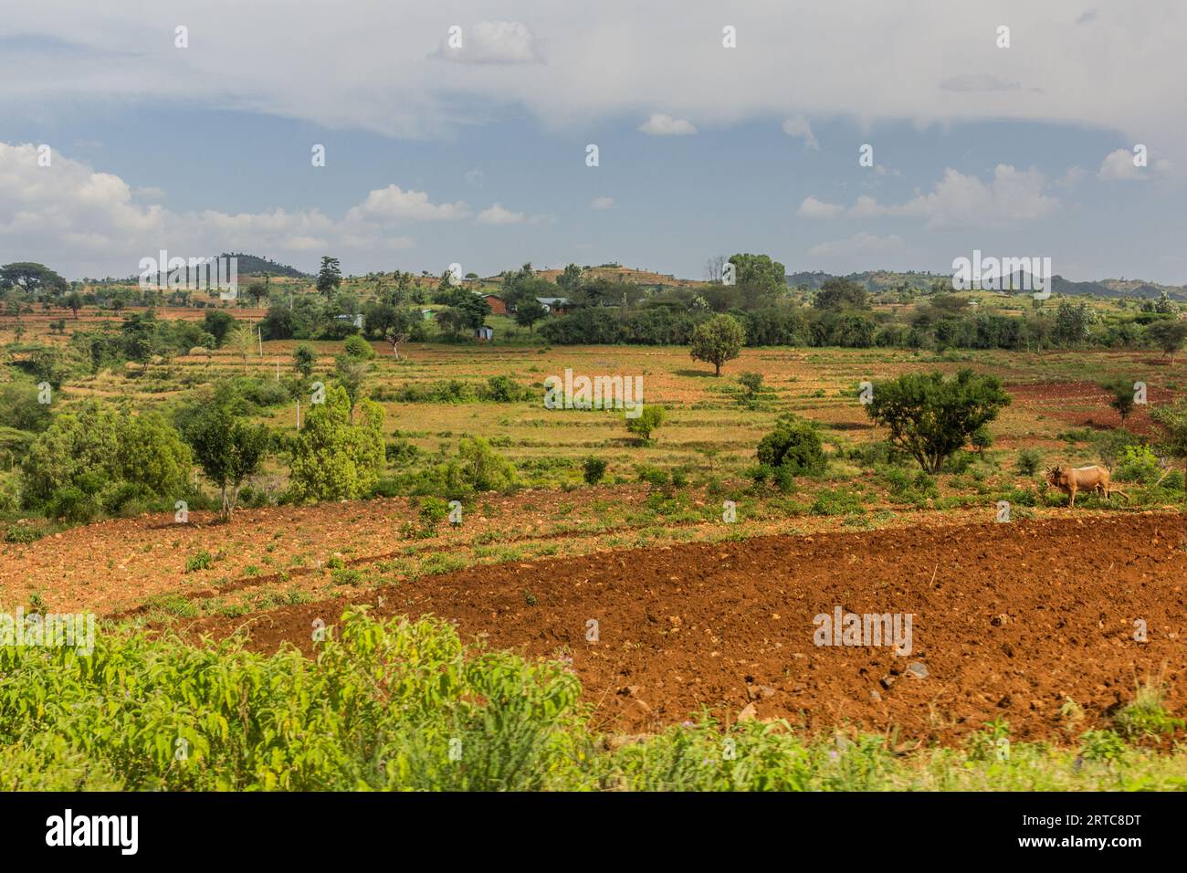 View of Konso landscape, Ethiopia Stock Photo - Alamy