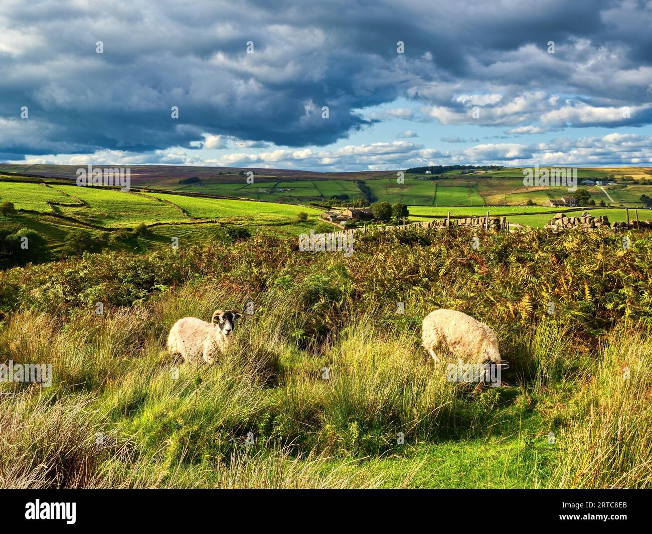 Haworth moors hi-res stock photography and images - Alamy
