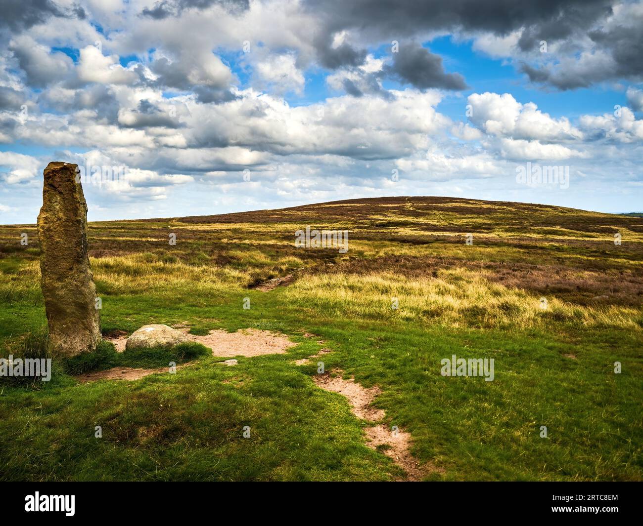 British milk sheep england hi-res stock photography and images - Alamy