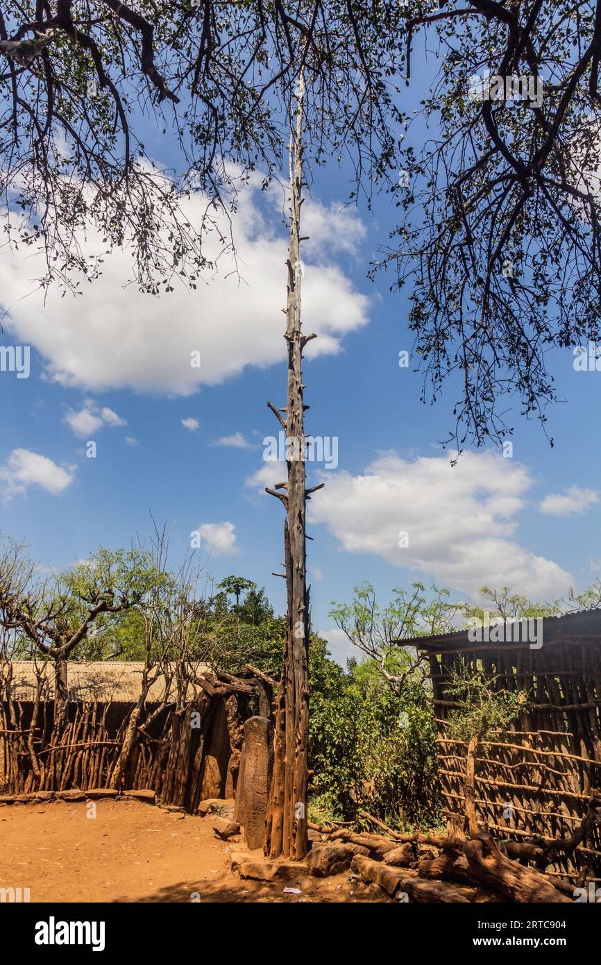 Generation pole in a traditional Konso village, Ethiopia. New pole is ...