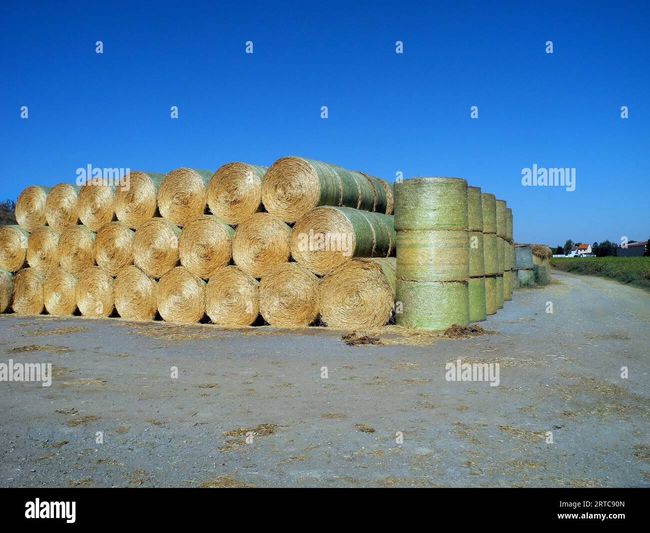 Austria, stacked straw bales used as bedding and fodder for cattle ...