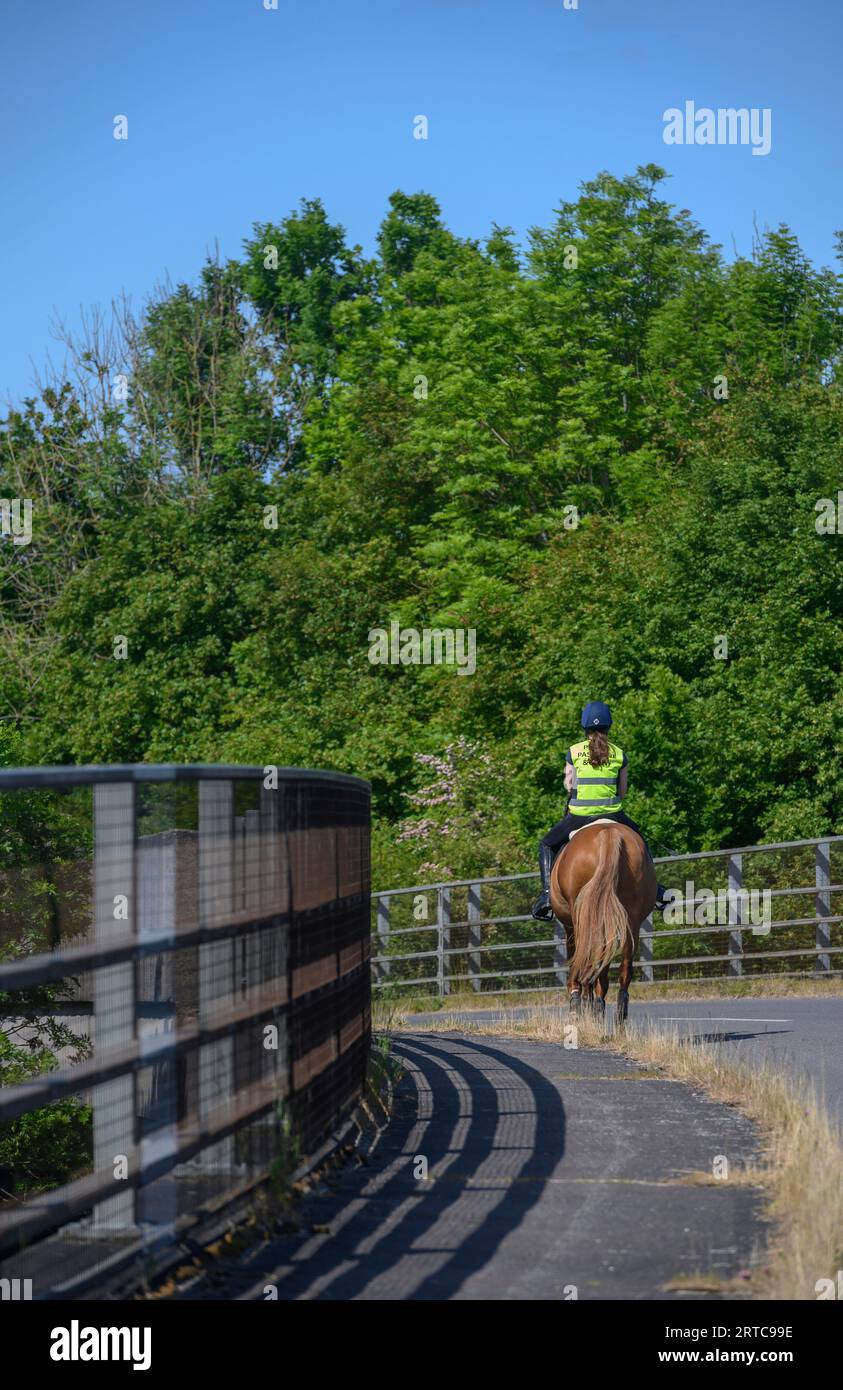 Horse and rider crossing a road bridge over the M40 motorway ...