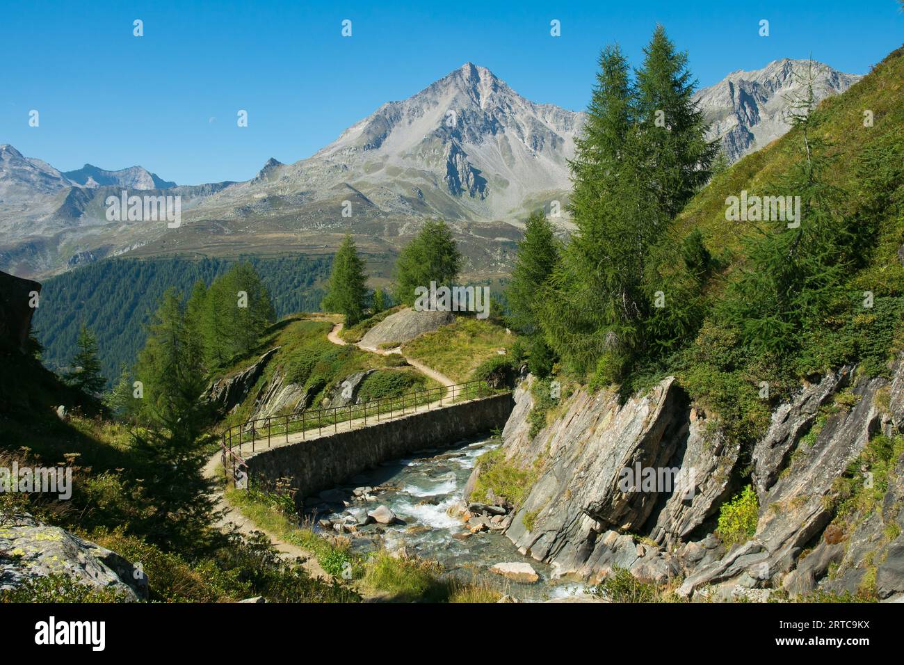 View of alpine pathway and little stream in Valle Aurina, Italy Stock ...