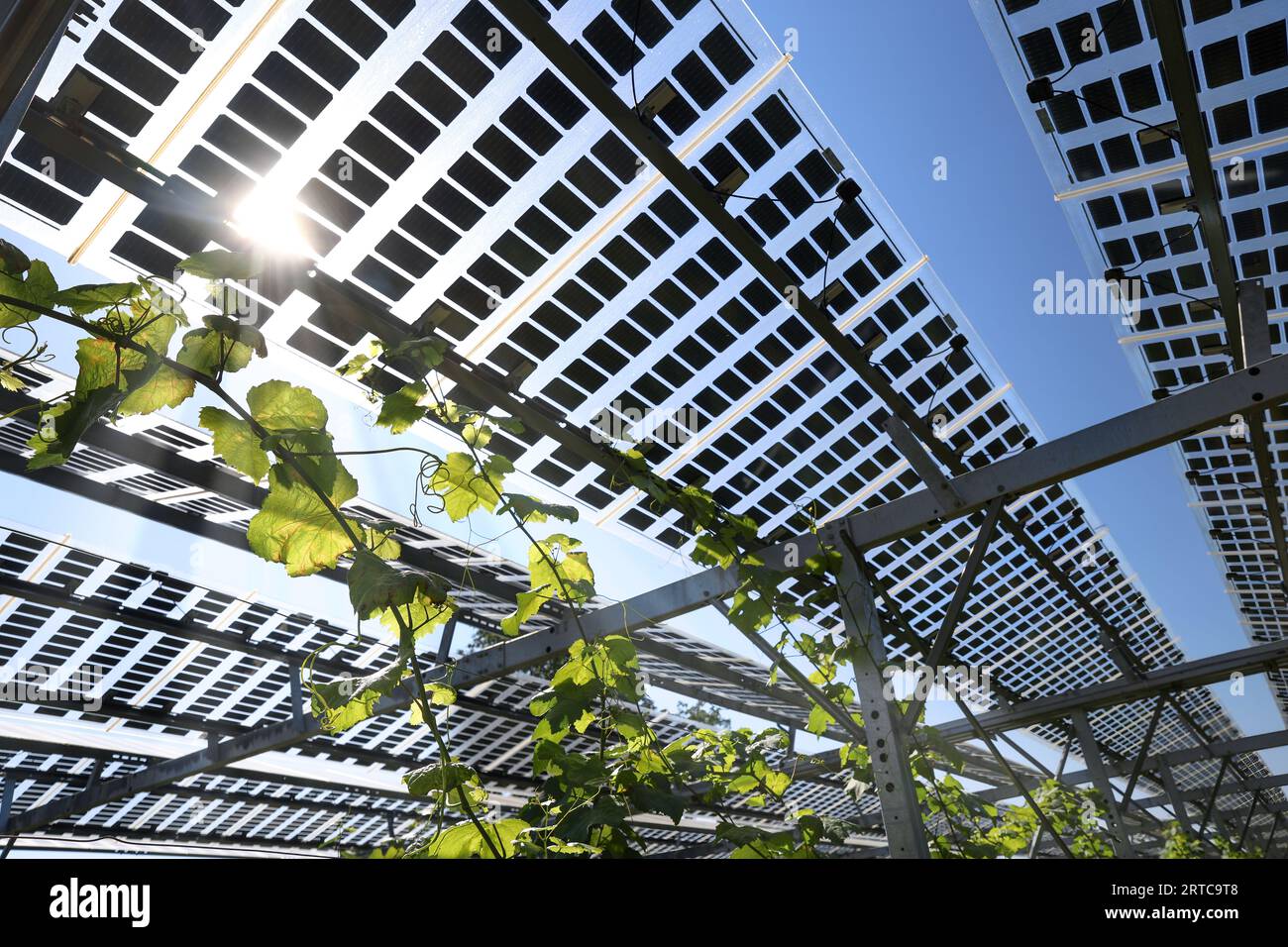 Photovoltaic power plants hi-res stock photography and images - Alamy