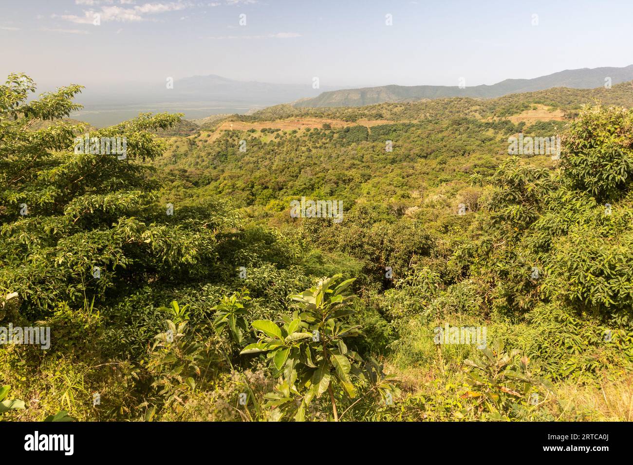 Landscape of Mago National Park, Ethiopia Stock Photo - Alamy