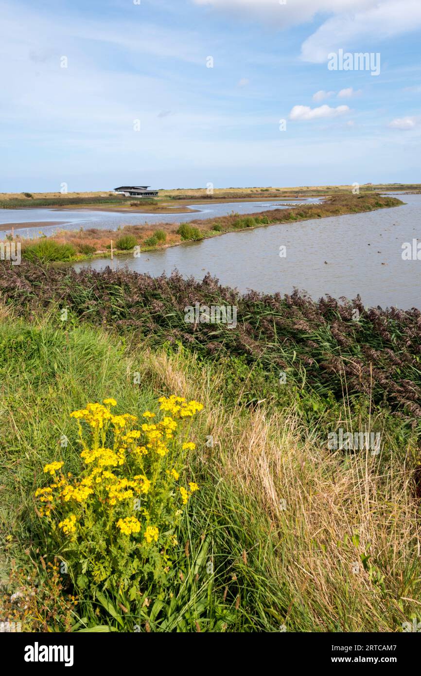 View across the Freshwater Marsh at RSPB Titchwell bird reserve towards ...
