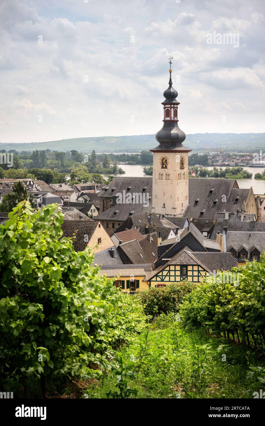 UNESCO World Heritage "Upper Middle Rhine Valley", St. Jakobus church ...
