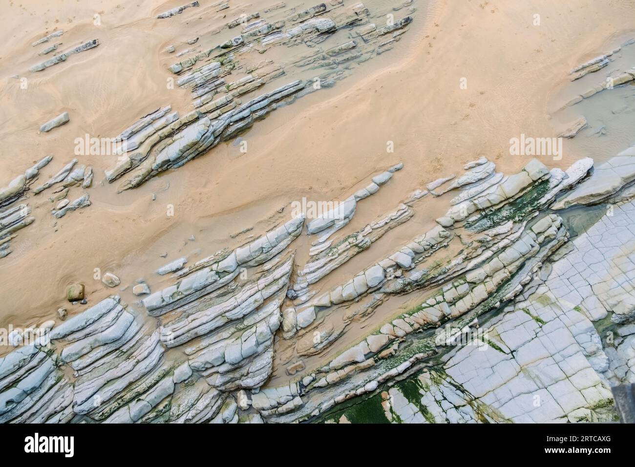 Flysch buried in the sand of a beach, beautiful geological background ...