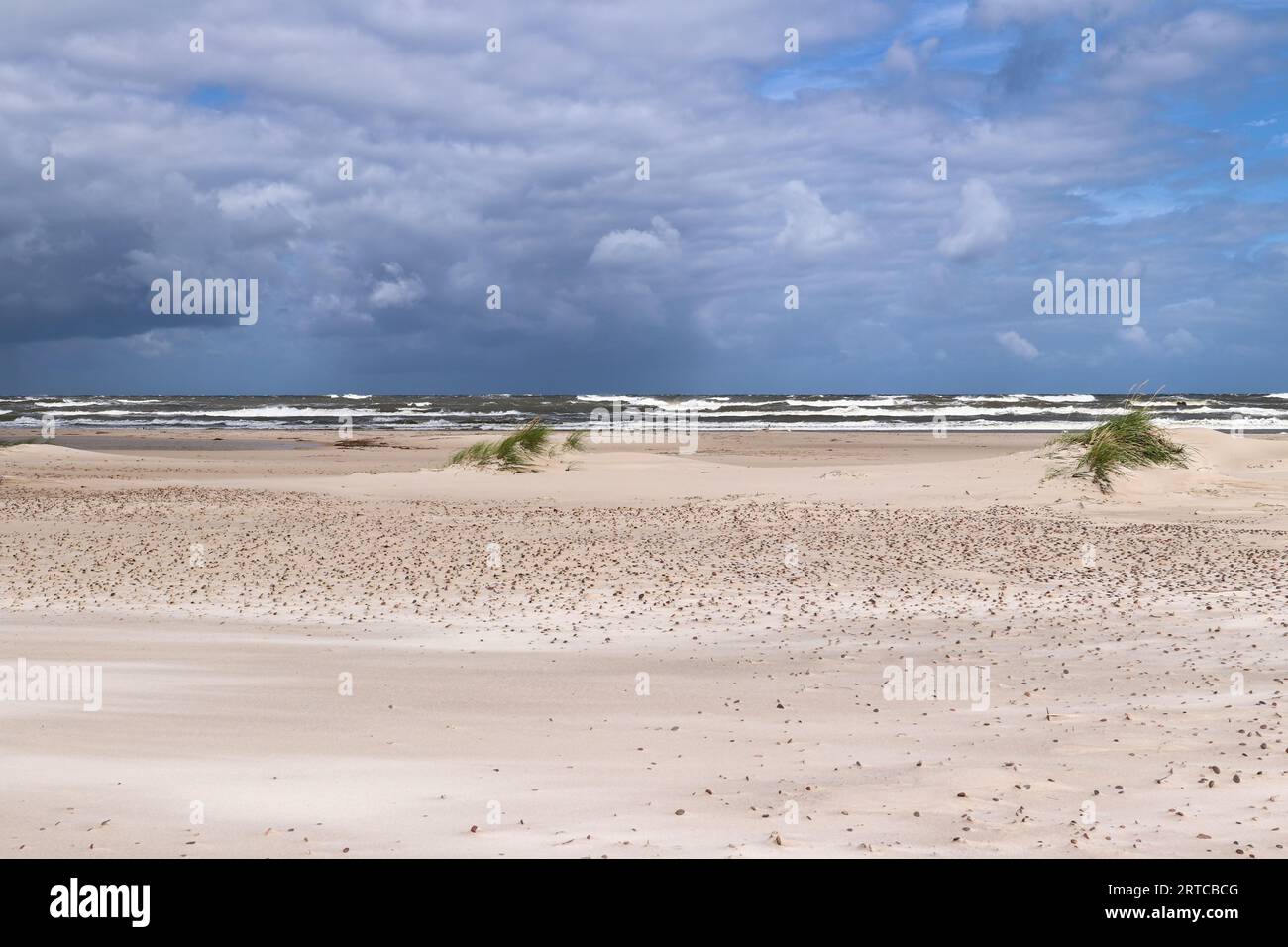 Baltic Sea coast and wild beach next to moving dunes in the Slovincian National Park also known ...