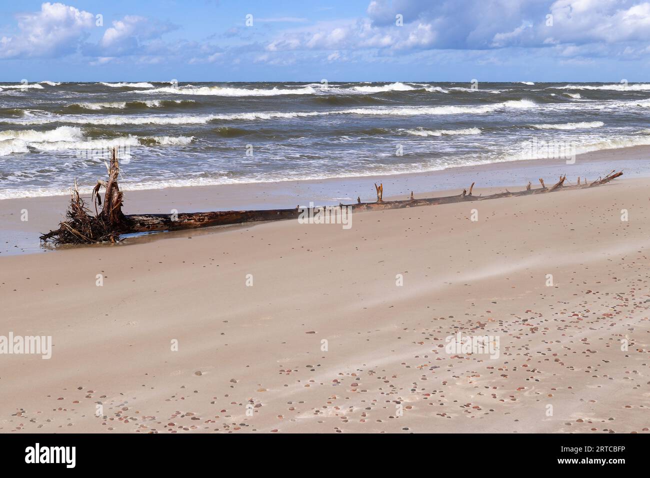 Baltic Sea coast and wild beach next to moving dunes in the Slovincian ...