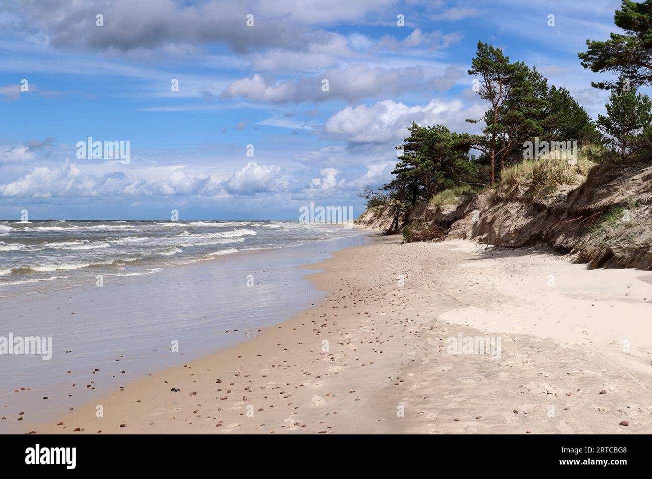 Baltic Sea coast and wild beach next to moving dunes in the Slovincian National Park also known ...
