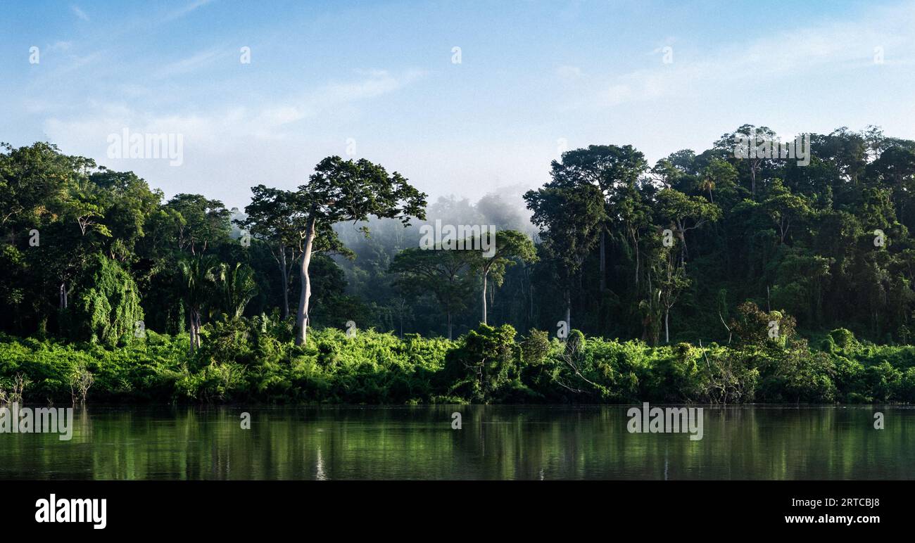 Panoramic 'River Looks', Jungle, Rio Usumacinta, Frontera Corozal ...