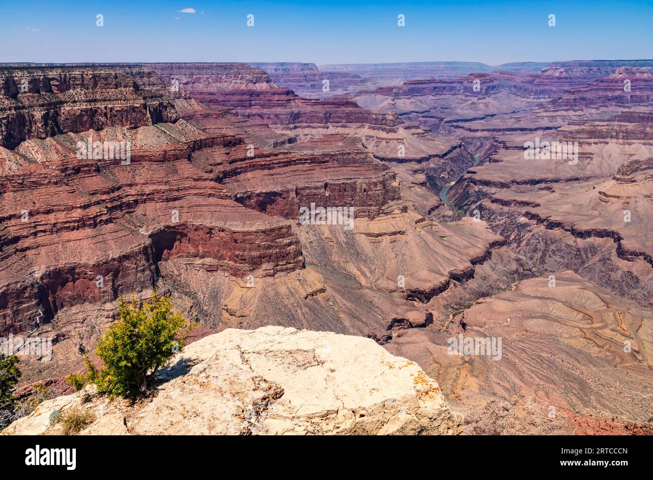 View into the deep gorge of the Grand Canyon with the Colorado River ...