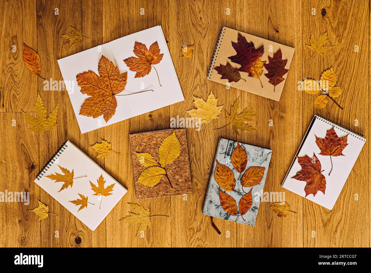 Autumn herbarium, frame with fall leaves. Autumn background with open ...