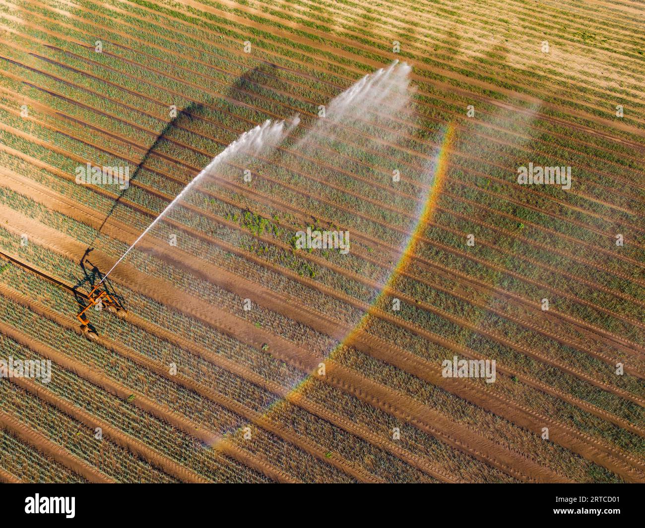 Overhead sprinkler irrigation hi-res stock photography and images - Alamy