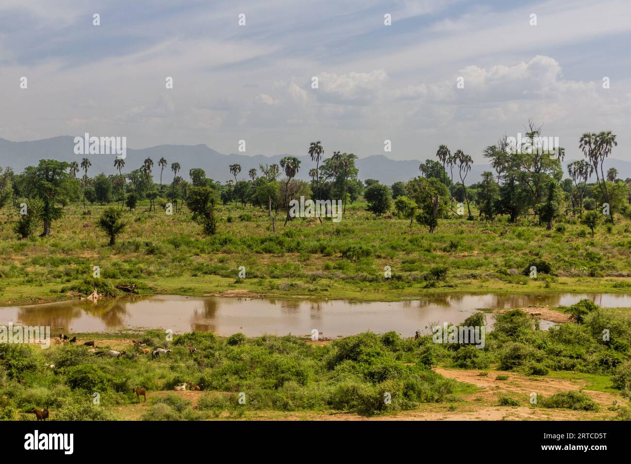 Landscape of Omo valley, Ethiopia Stock Photo - Alamy