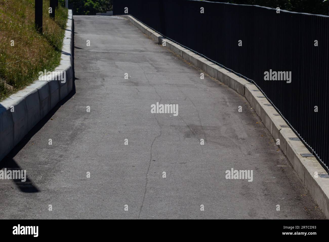 The edge of a park paved road, separated by a curb with a lawn. Fallen ...