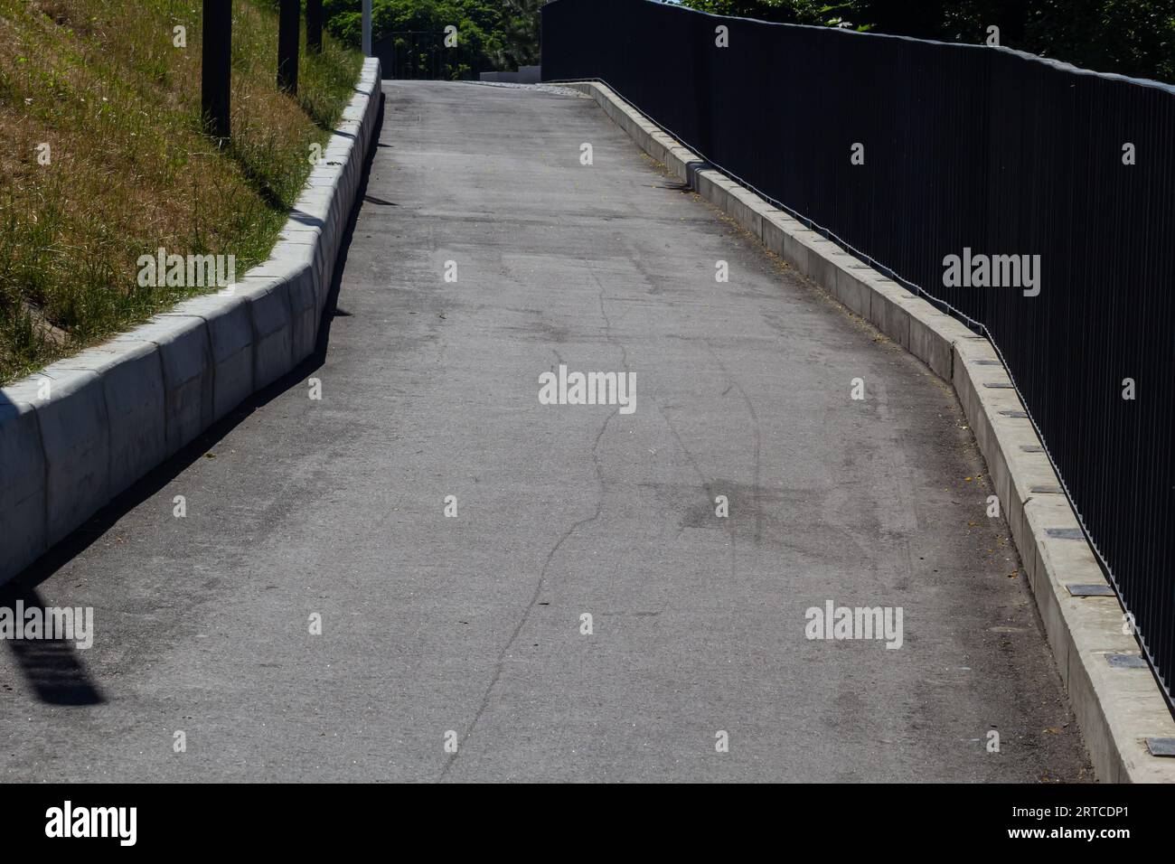 The edge of a park paved road, separated by a curb with a lawn. Fallen ...