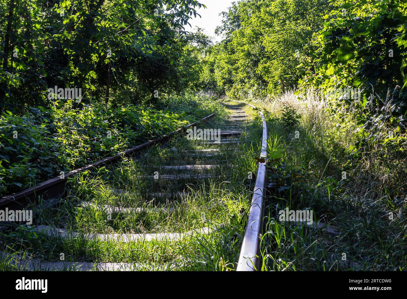 Overgrown railway track hi-res stock photography and images - Alamy