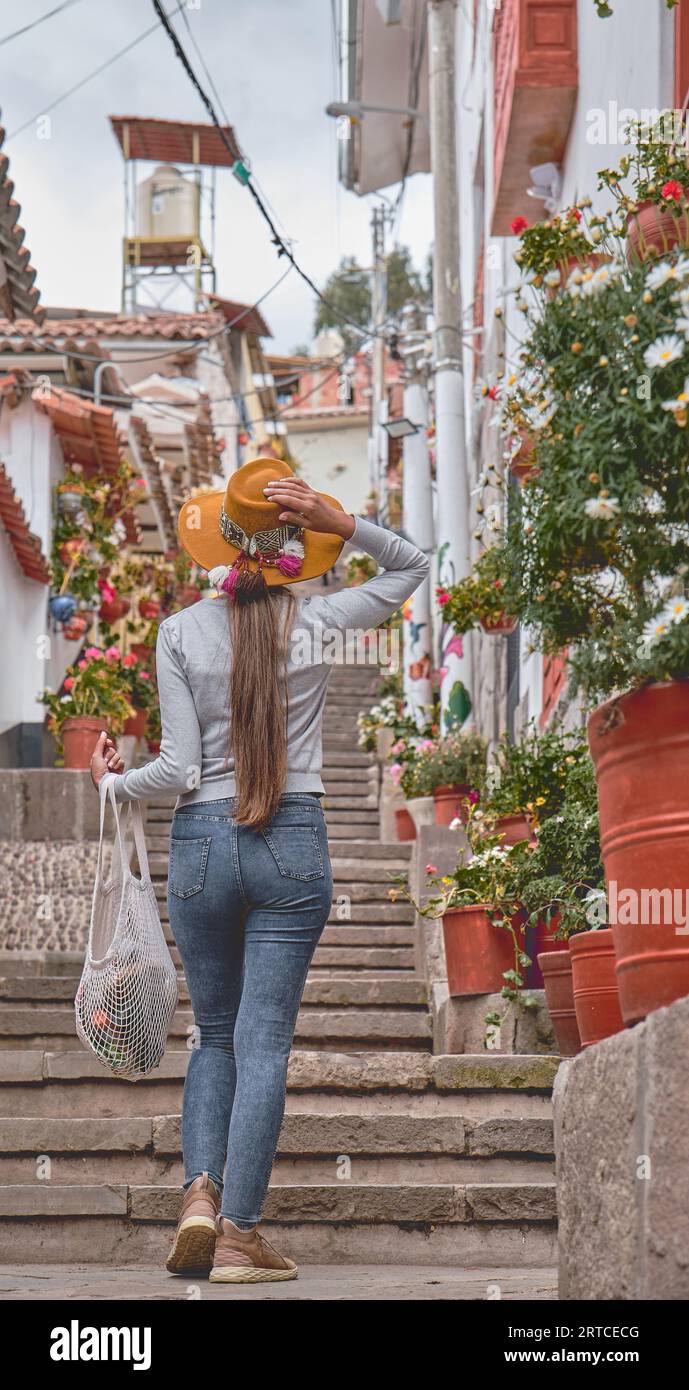 Travels in South America. Happy tourist girl visiting the Siete ...