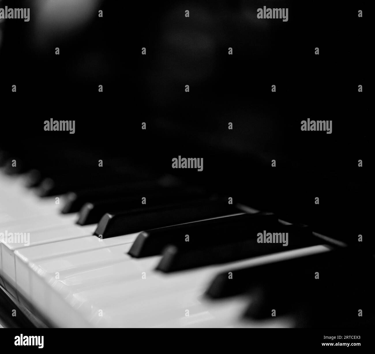 Royal society arts Black and White Stock Photos & Images - Alamy