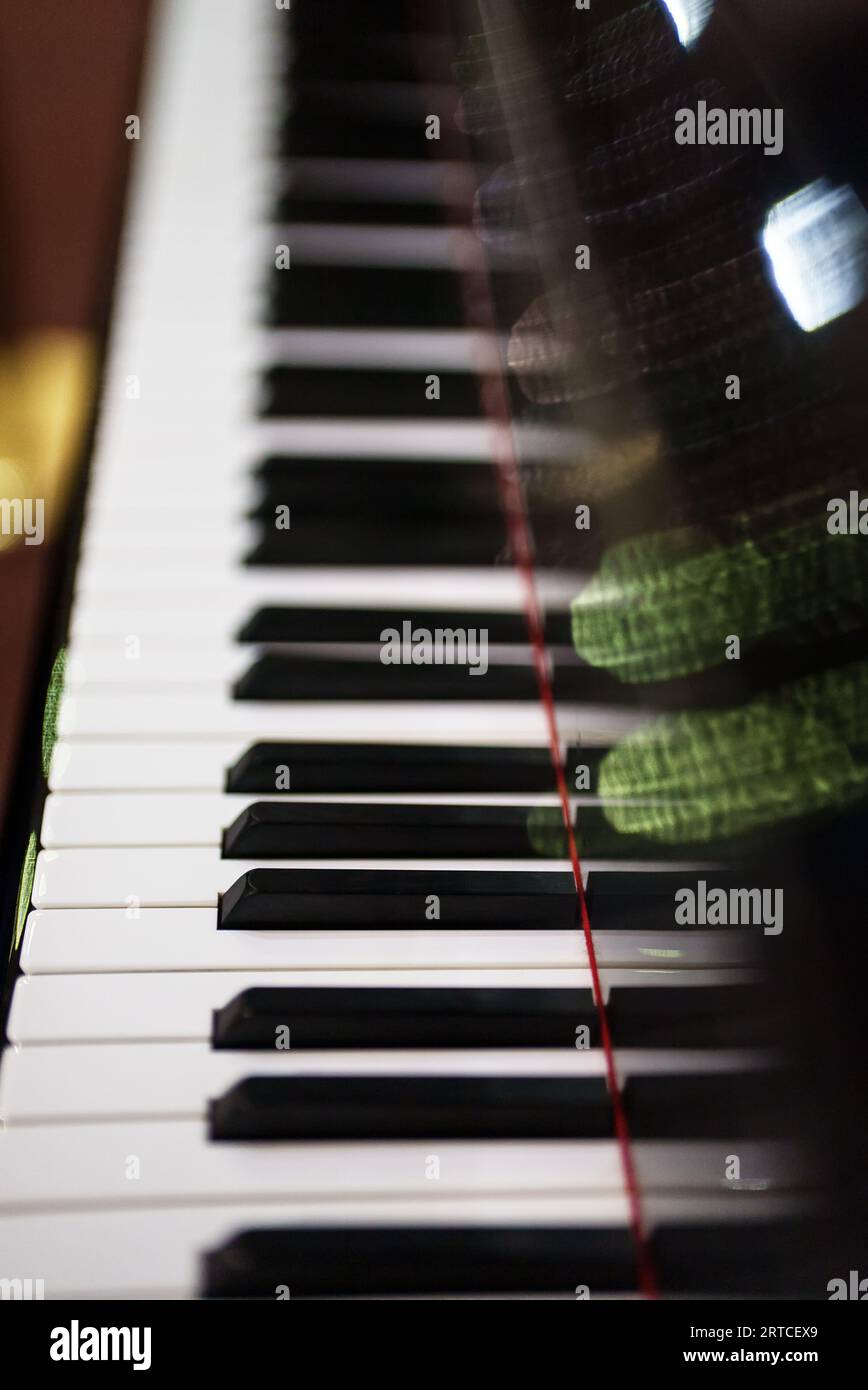 Close-up view of royal grand piano keys Stock Photo - Alamy
