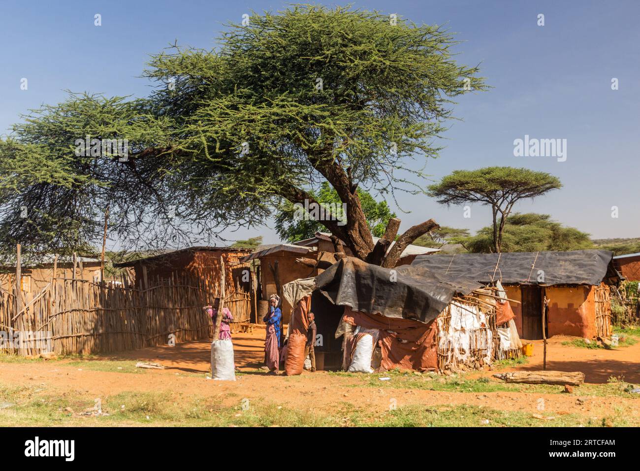 Yabelo hi-res stock photography and images - Alamy