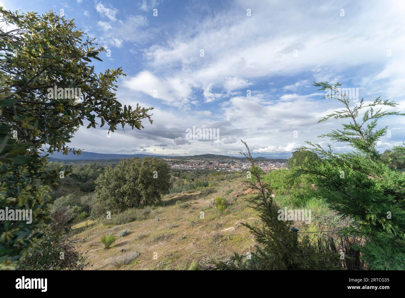 Bosque de martin hi-res stock photography and images - Alamy