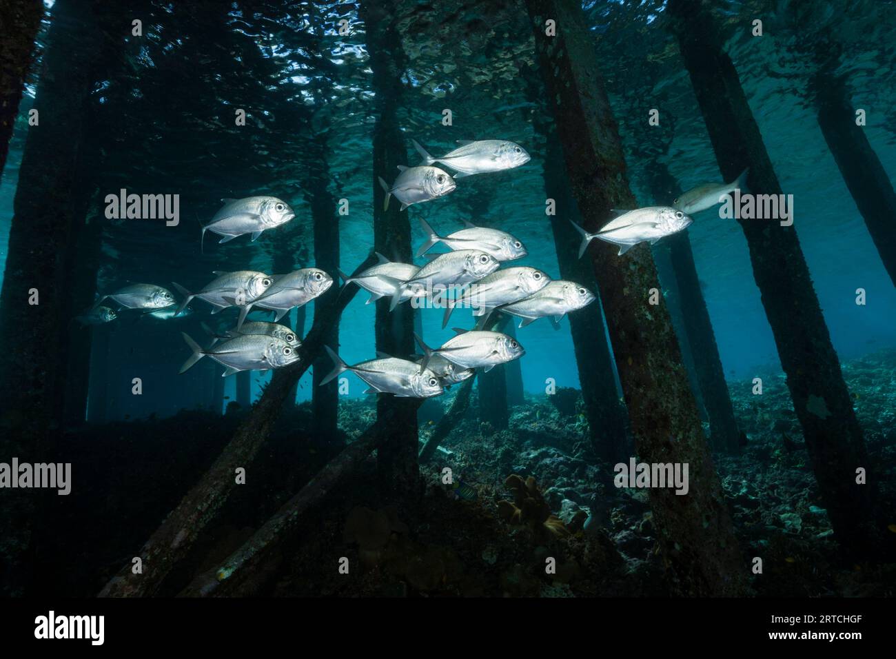 Jacks landing hi-res stock photography and images - Alamy