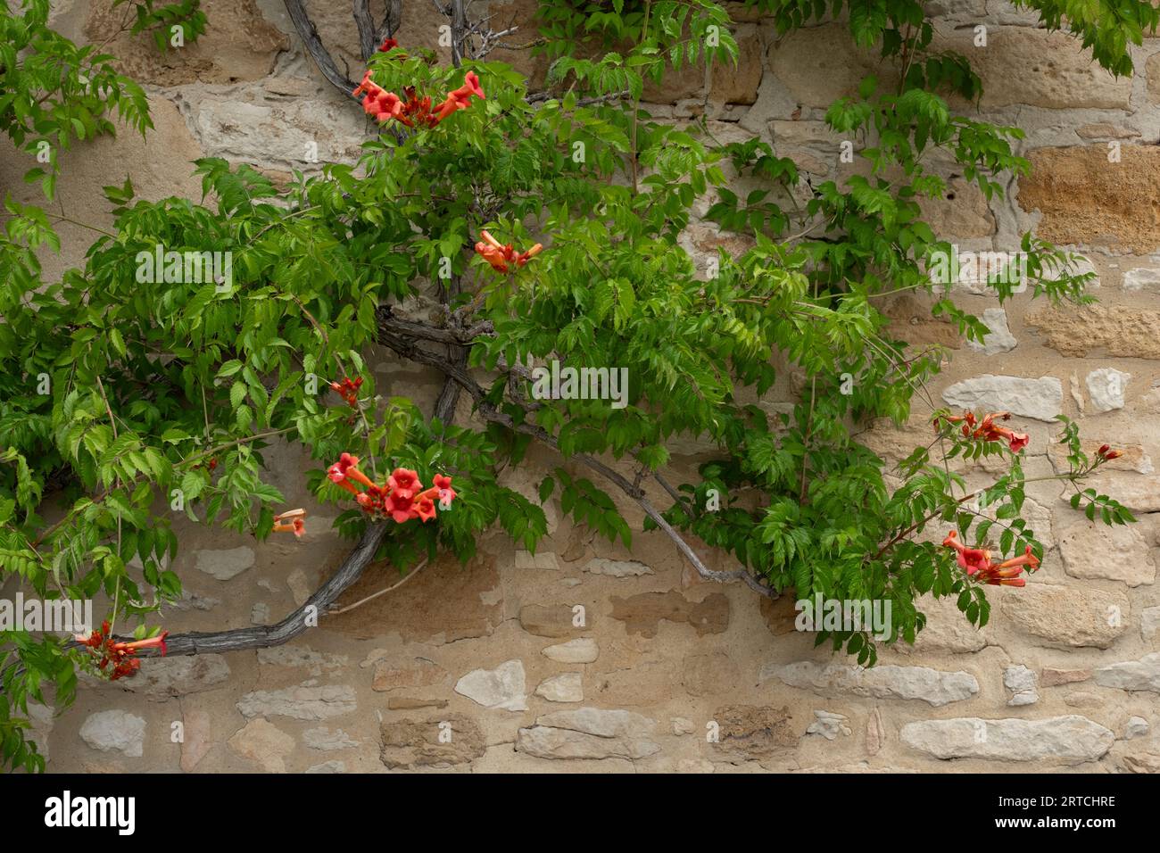 Terracotta brick stone masonry wall hi-res stock photography and images ...