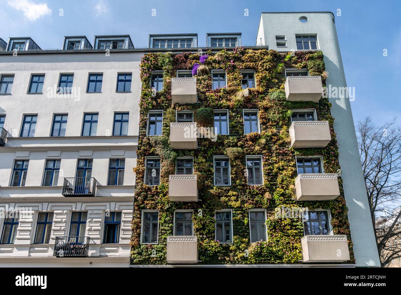 Green facade in the Pannierstrasse in Berlin-Neukölln, , facade ...