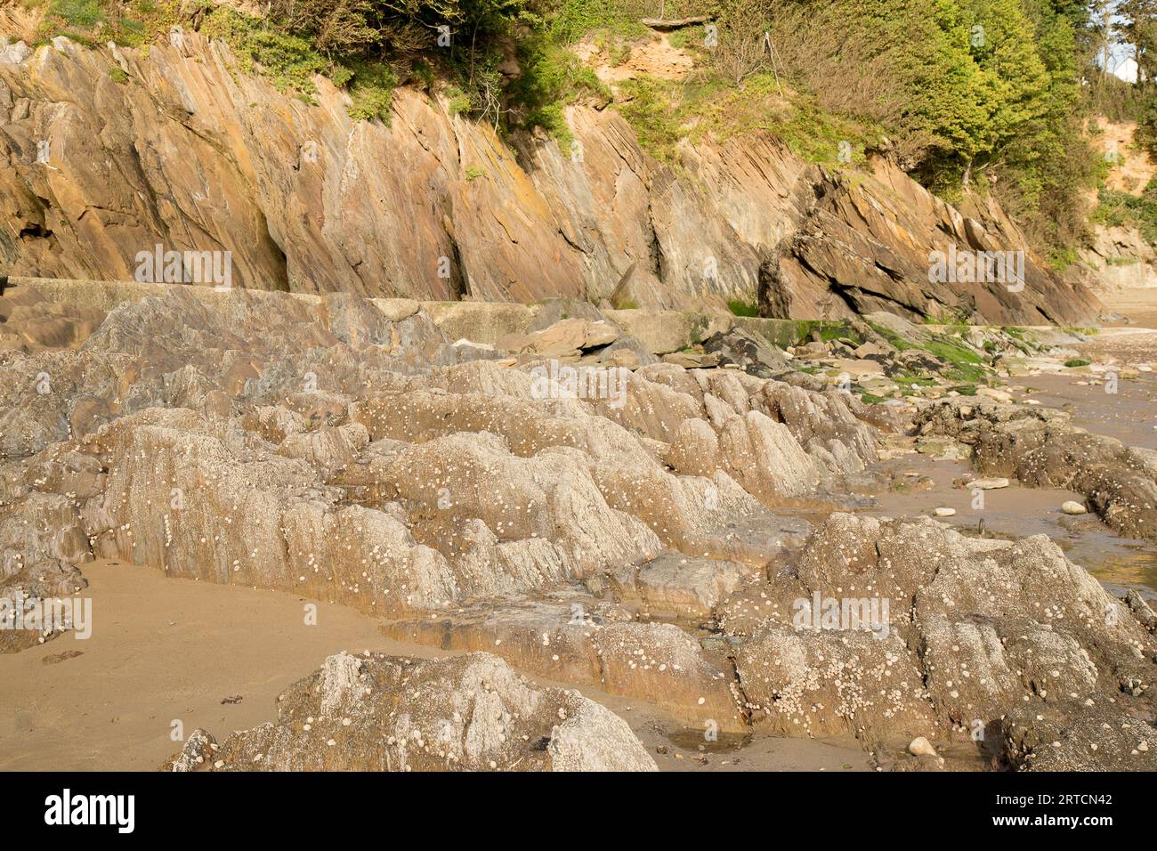 Combe Martin Beach North Devon Stock Photo - Alamy