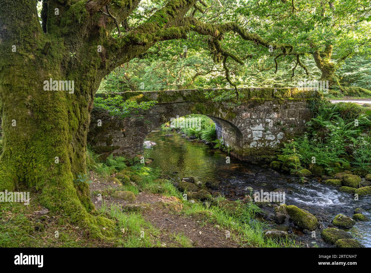 The historic Norsworthy Bridge over the River Meavy, Dartmoor, Devon ...