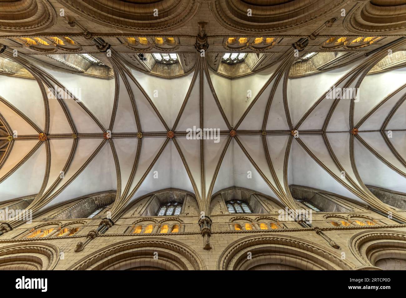 Ceiling gloucester cathedral hi-res stock photography and images - Alamy
