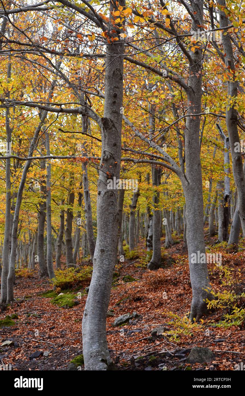 Iberian system moncayo hi-res stock photography and images - Alamy