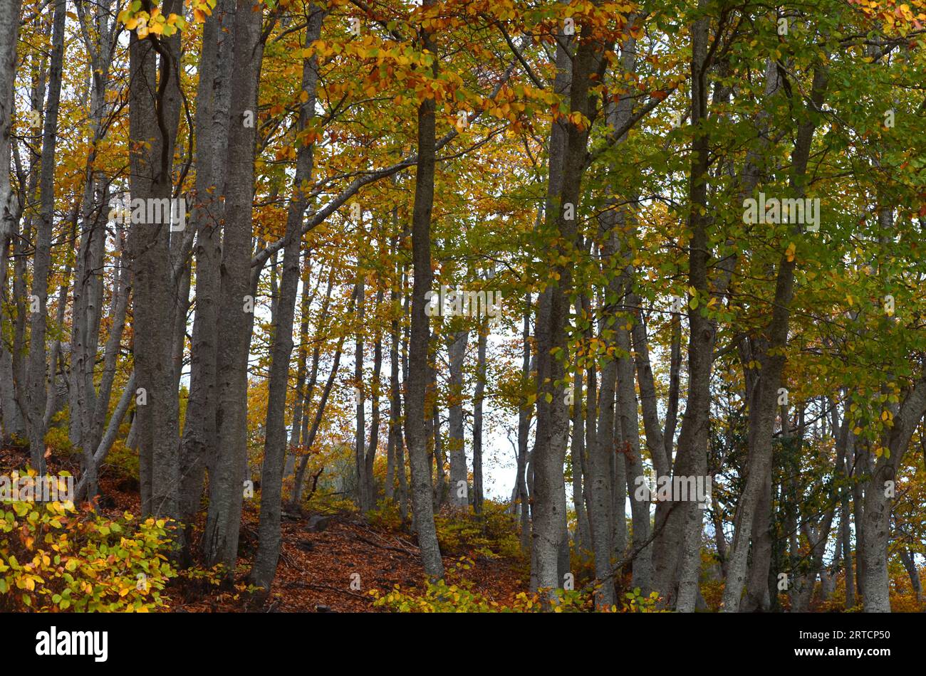Iberian system moncayo hi-res stock photography and images - Alamy