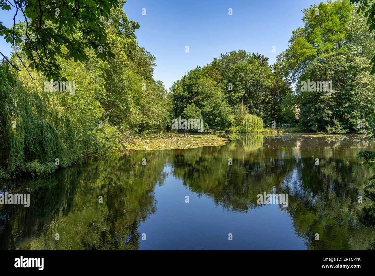 Pond in the park of Worcester College, University of Oxford ...
